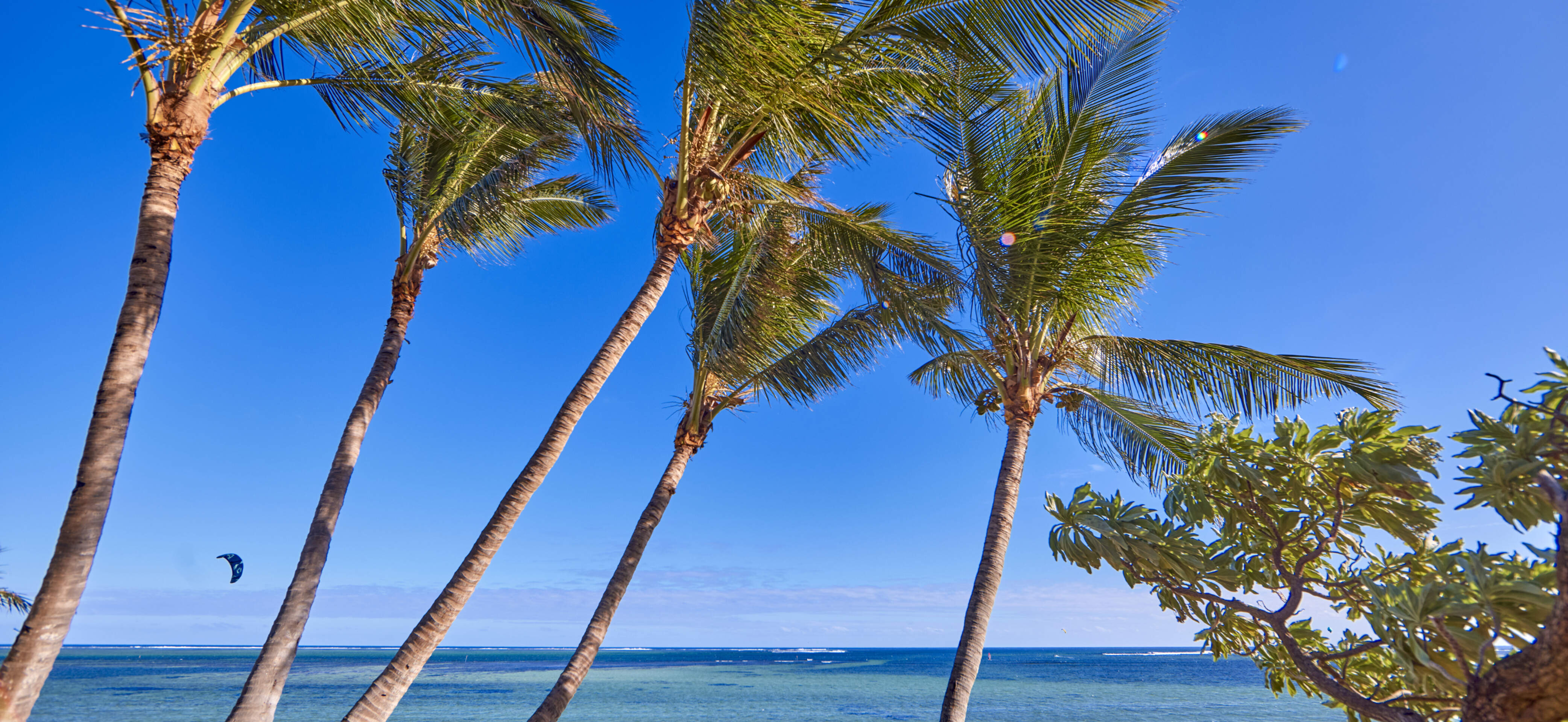 Réservez l'hôtel RIU Turquoise à l'Ile Maurice avec Zil Maurice